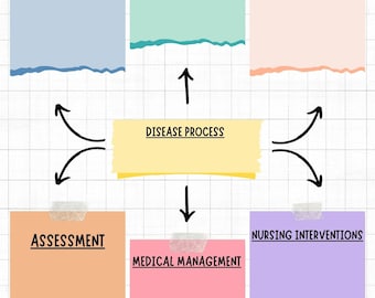 Mother/baby Concept Map for Nursing School - Etsy