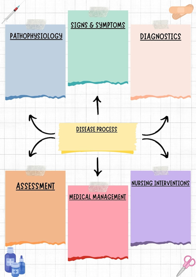 Concep Map for Nursing School - Etsy