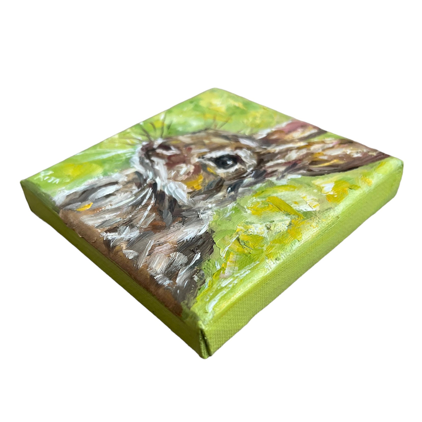 Original Rabbit Oil Painting on Canvas 10x10cm Mini Cute - Etsy