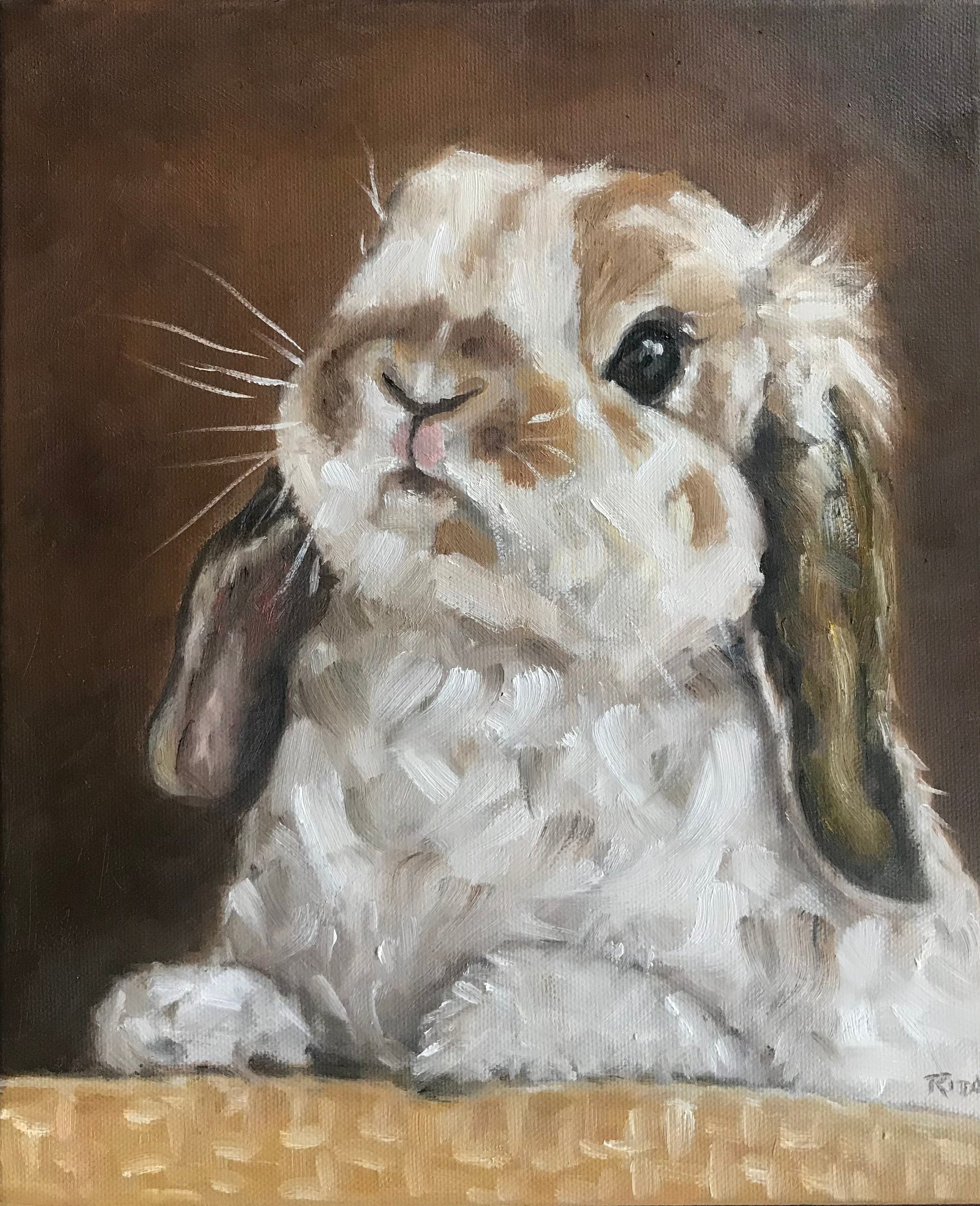 Rabbit Oil Paintings