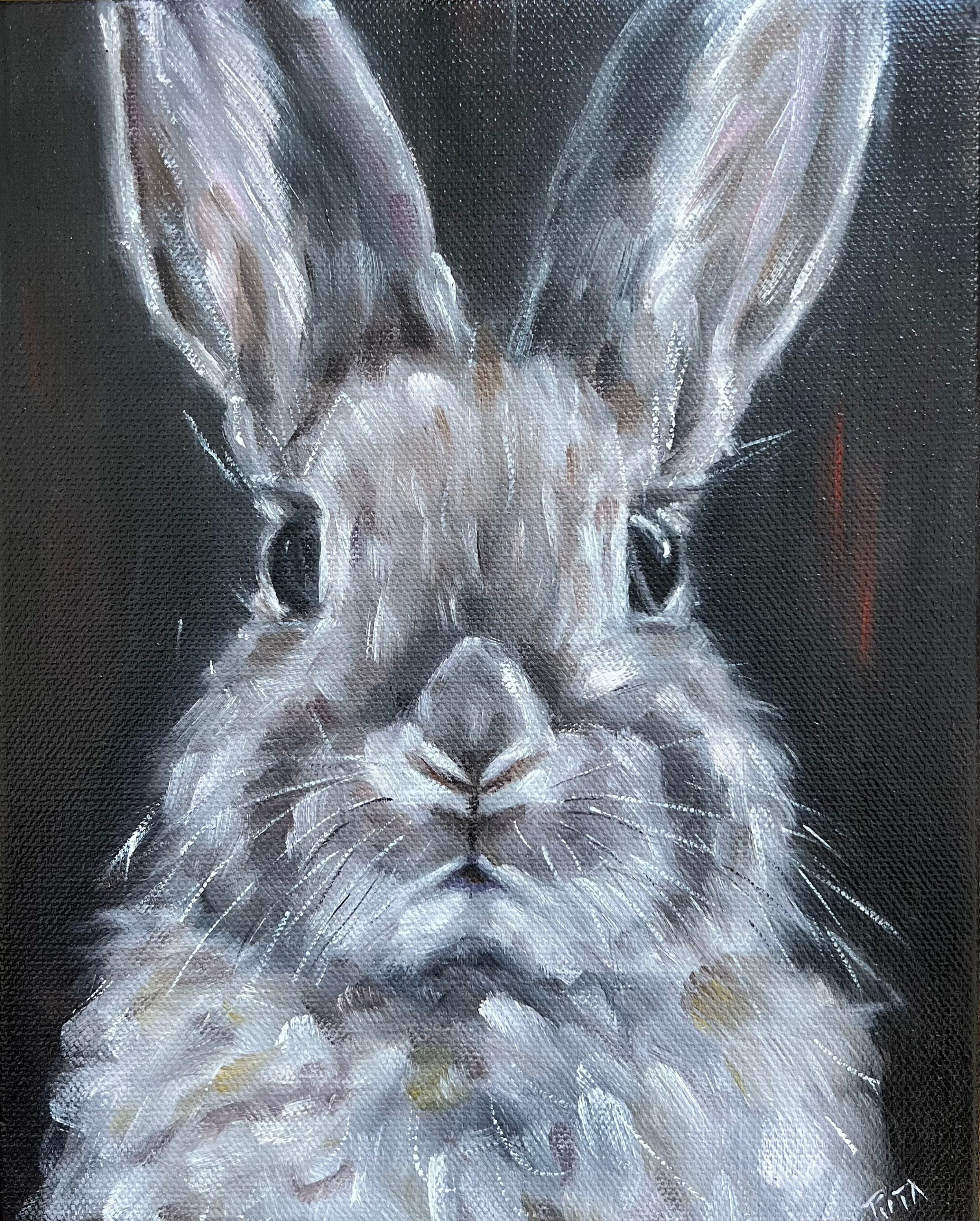 Original Rabbit Oil Painting on Premium Canvas 20x25cm Modern - Etsy