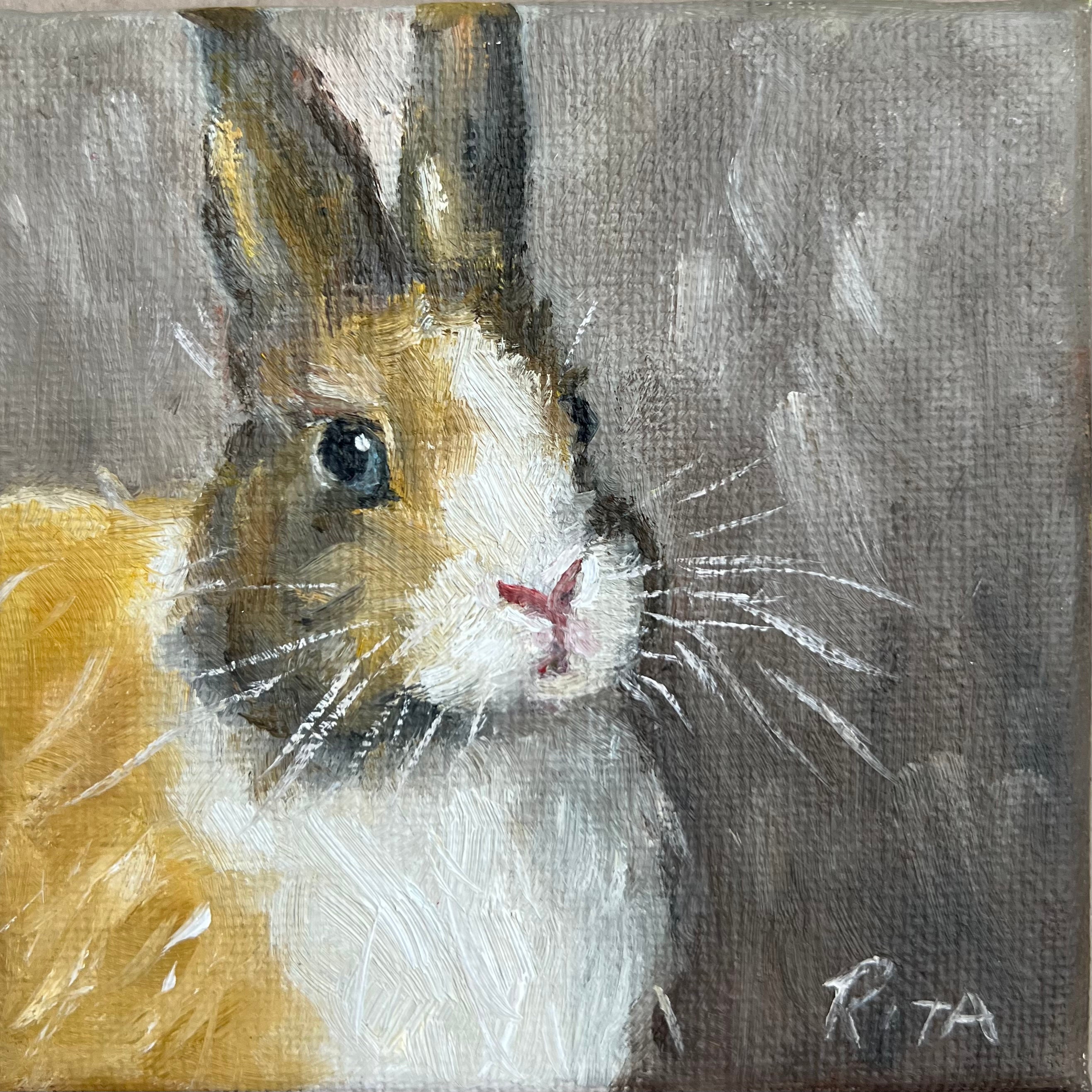 Rabbit Oil Paintings