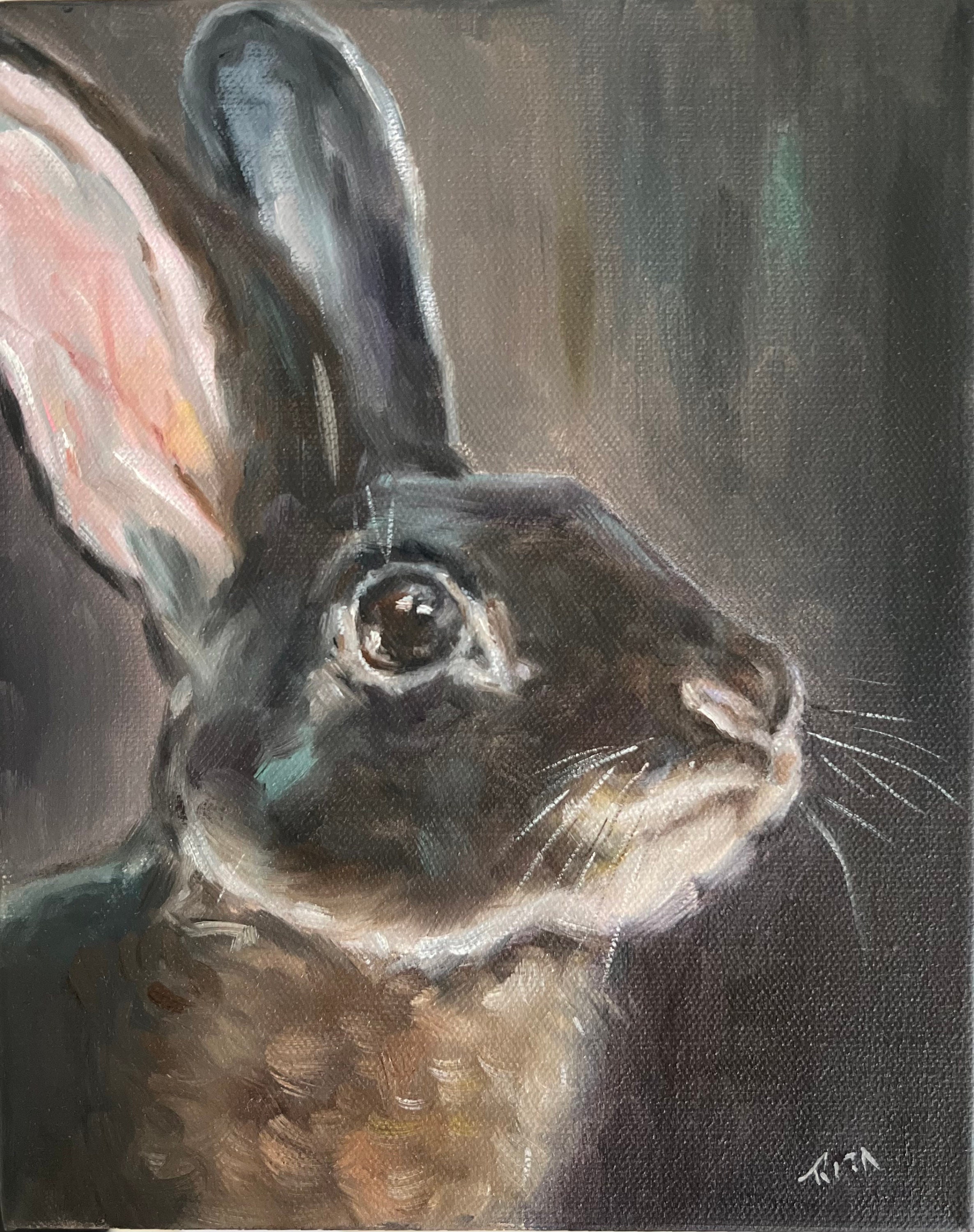 Original Black Rabbit Oil Painting: Classic Bunny Portrait Art 8"x10 ...