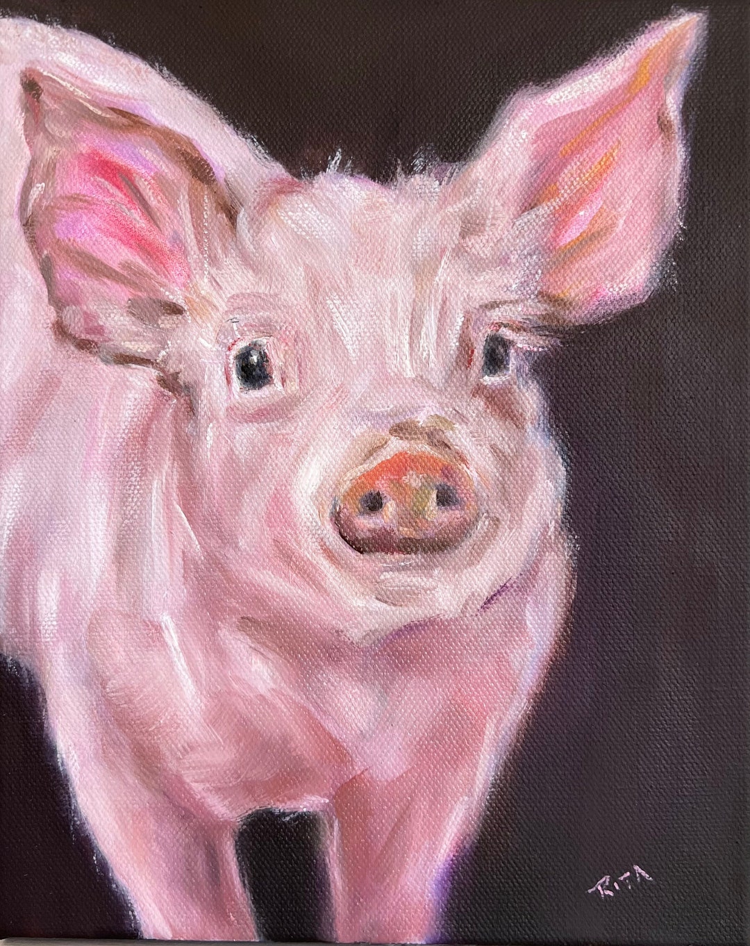 Original Pig Oil Painting on Double Thickness Premium Canvas 20x25cm ...