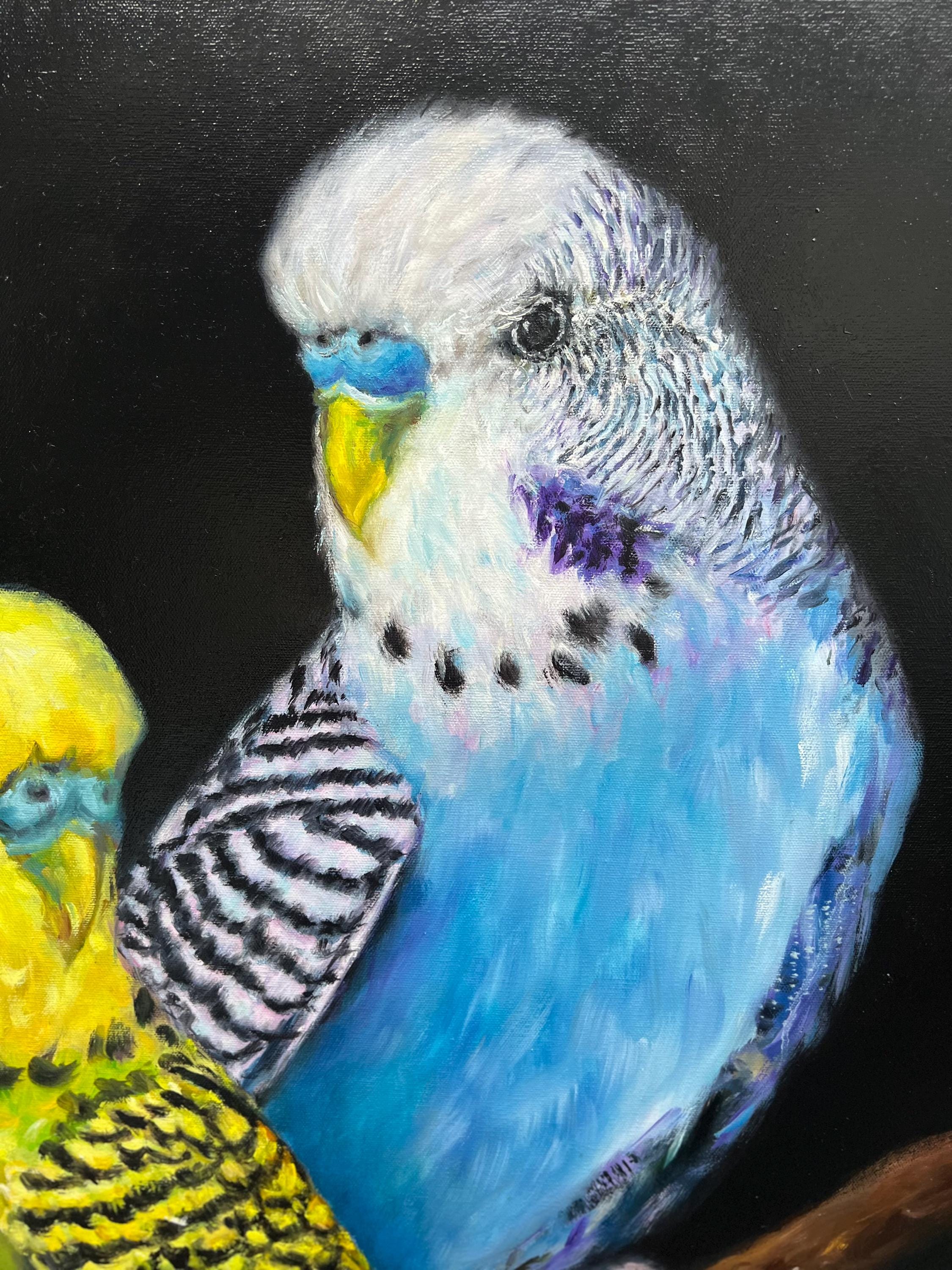 Budgie Brilliance - Original Bird Portrait Art 30"x40", Oil Painting on ...