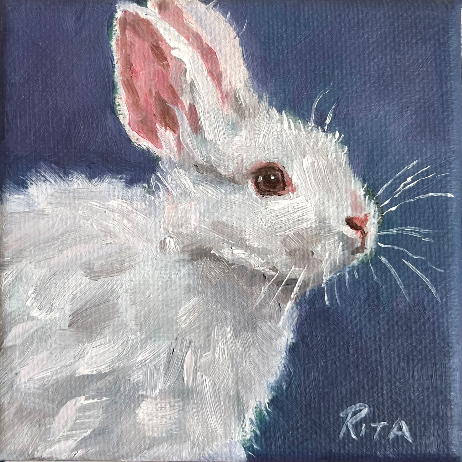 Original Rabbit Oil Painting on Canvas 10x10cm, Mini Sized Art of ...