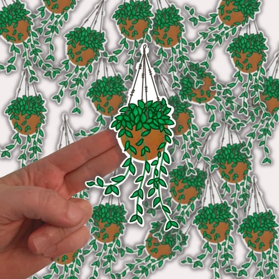 Hanging Plant Sticker - Etsy