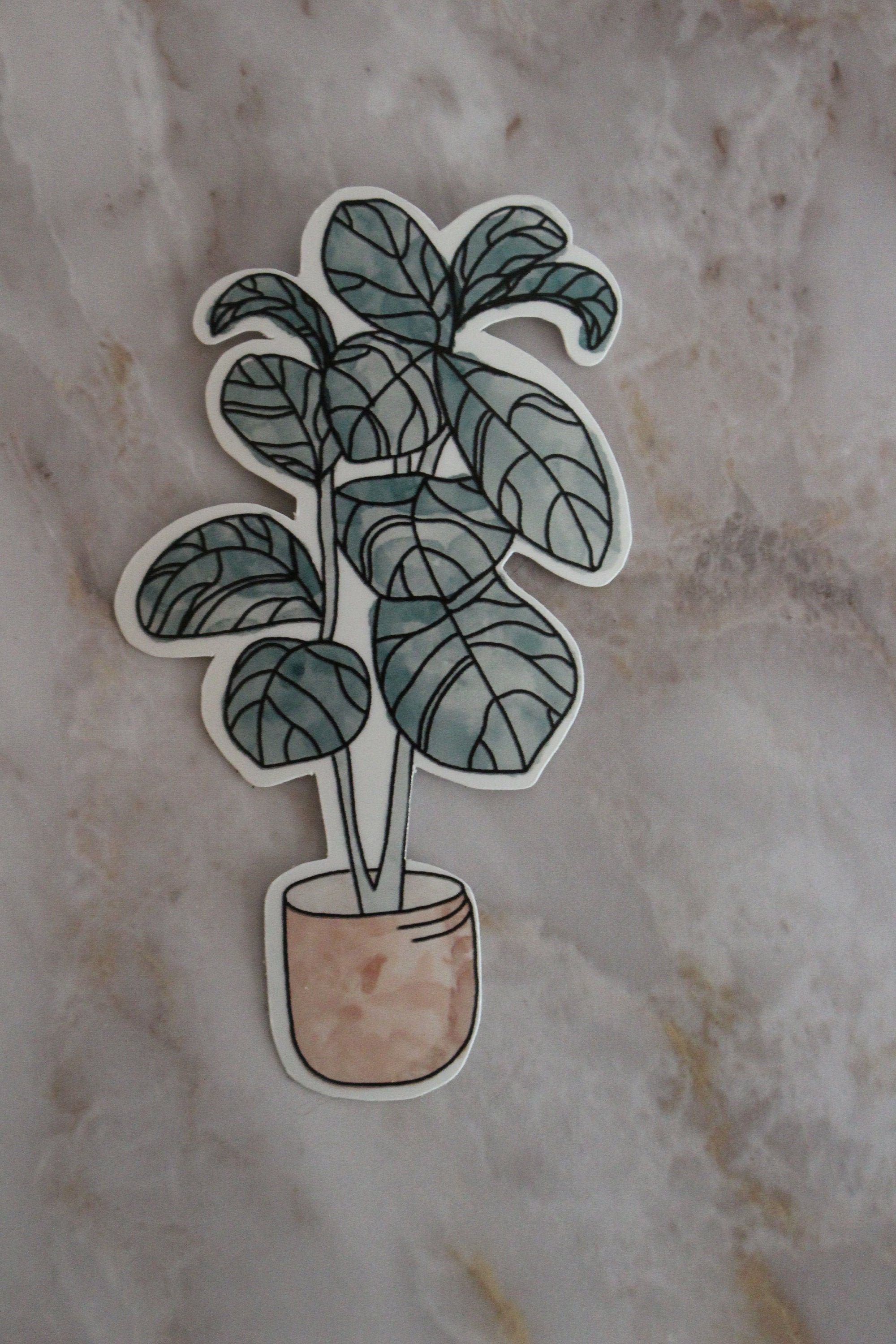 Fiddle Leaf Fig Sticker Plant Sticker Boho Sticker Water | Etsy