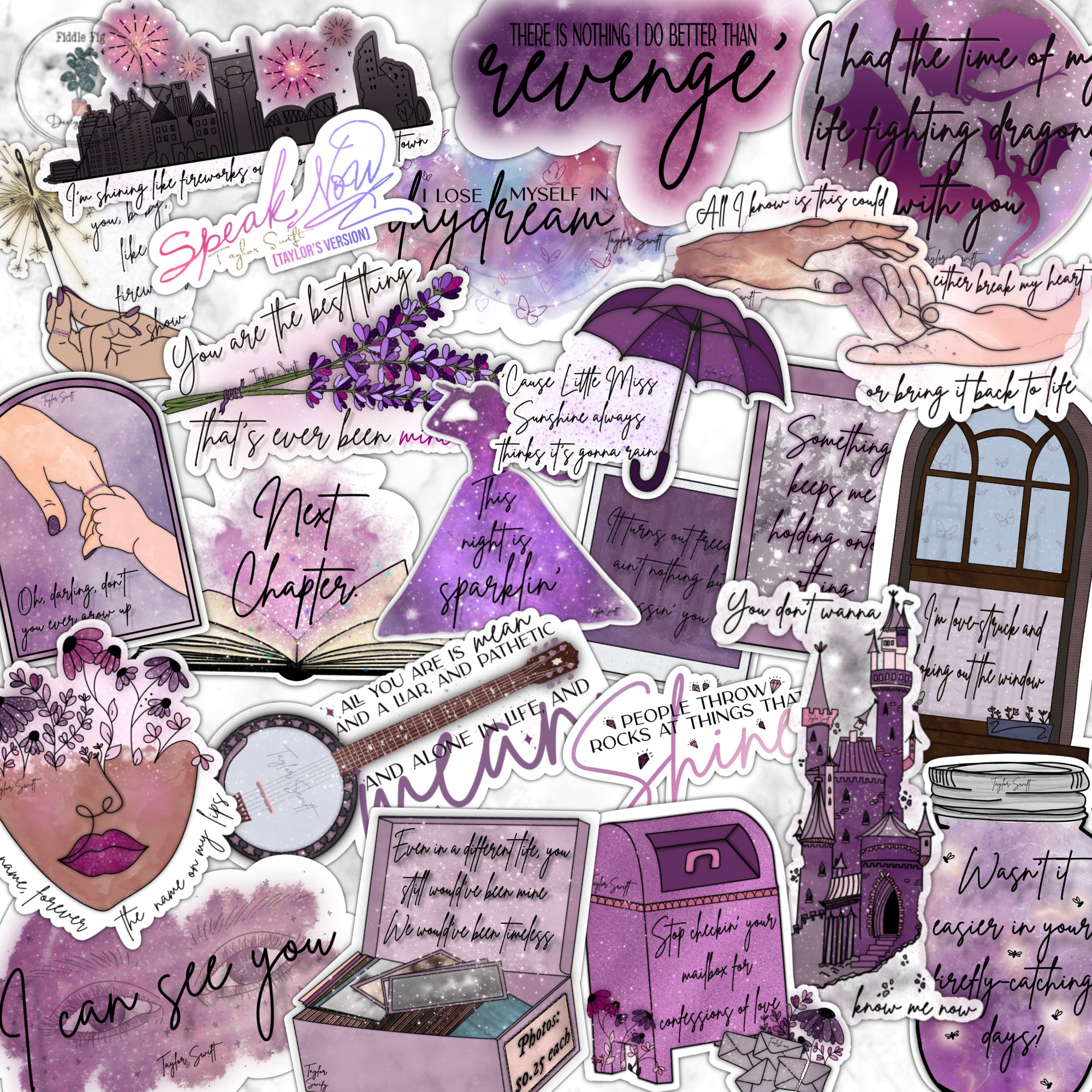 Taylor Swift Speak Now Quotes In Album Booklet