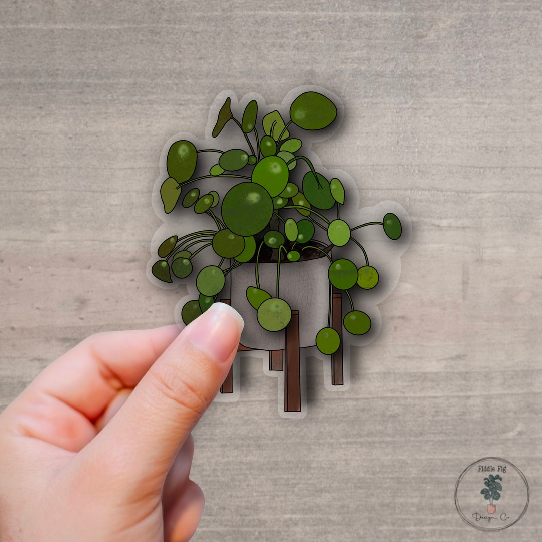 Pilea Peperomioides Sticker| House Plant | Hydroflask Sticker | Vinyl ...