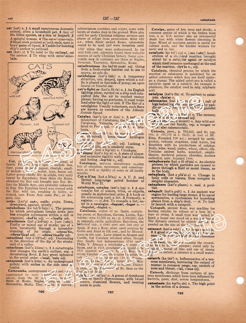 Cats Antique Dictionary Page INSTANT DOWNLOAD High-resolution - Etsy