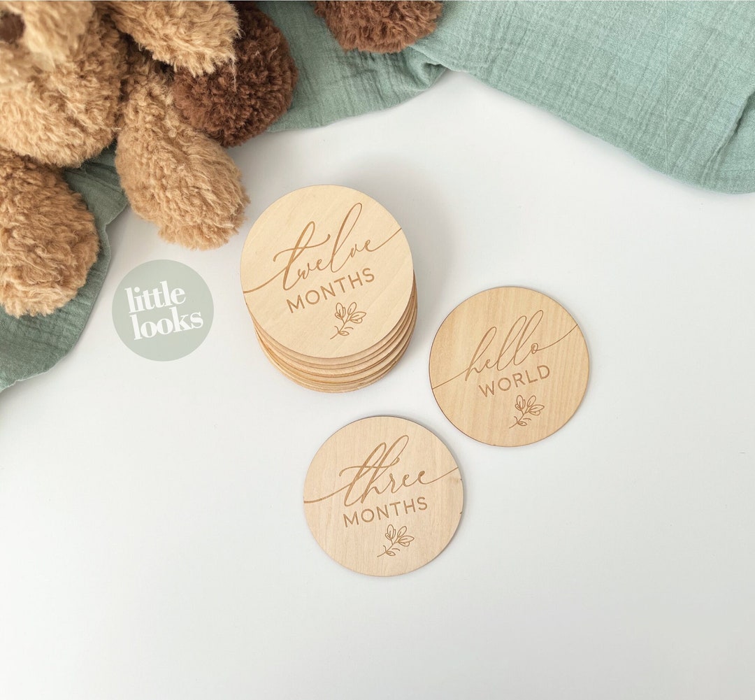 Monthly Milestone Discs (set of 14) | Baby Month Photos | Monthly Baby ...