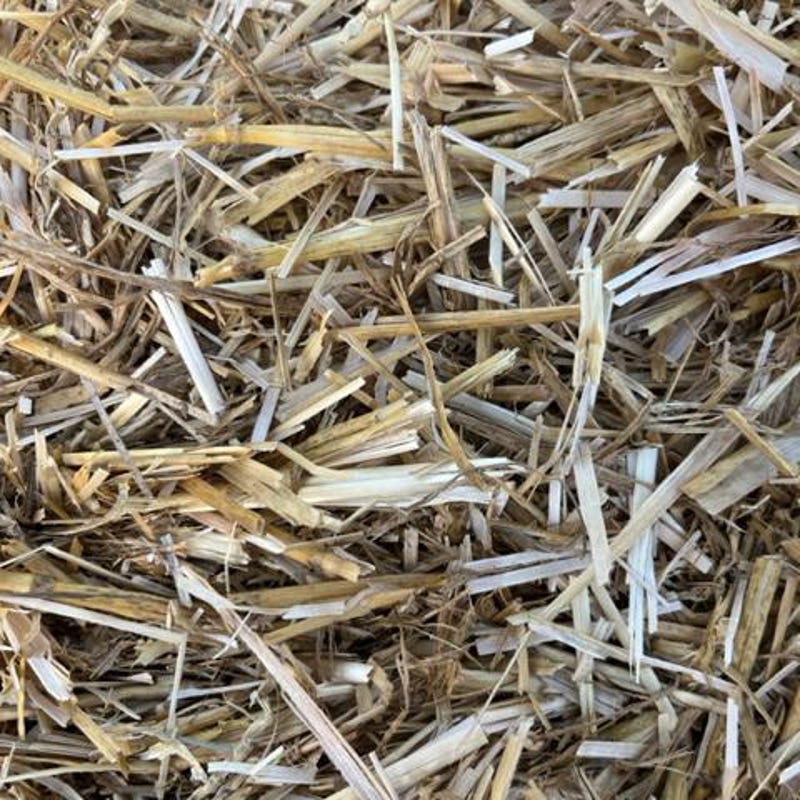 Wheat Straw - Etsy
