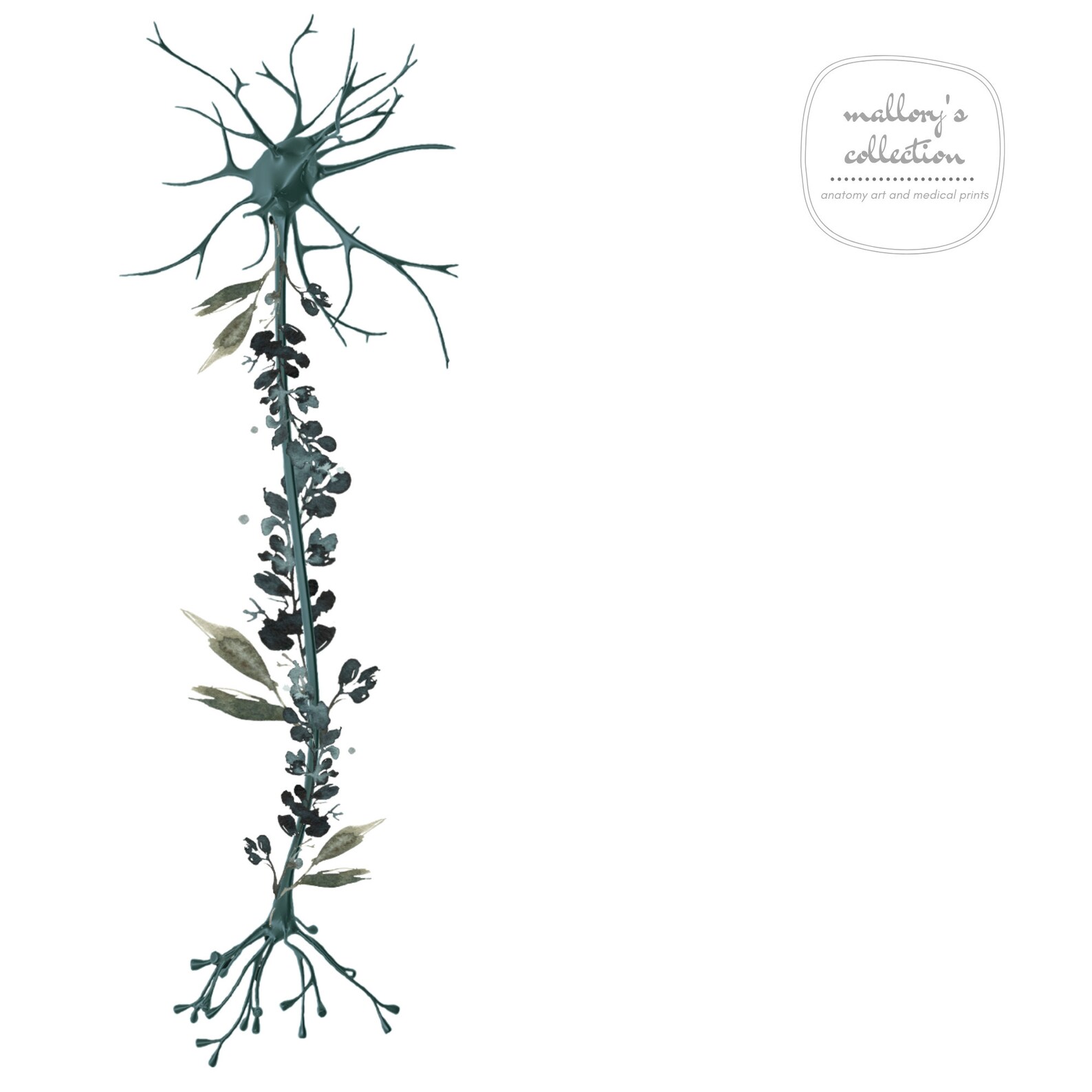 Neuron Anatomy Wall Art / Neuron Artwork / Med School - Etsy