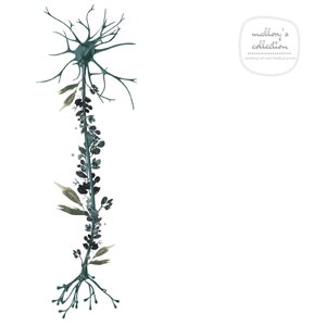 Neuron Anatomy Wall Art / Neuron Artwork / Med School Graduation Gift ...