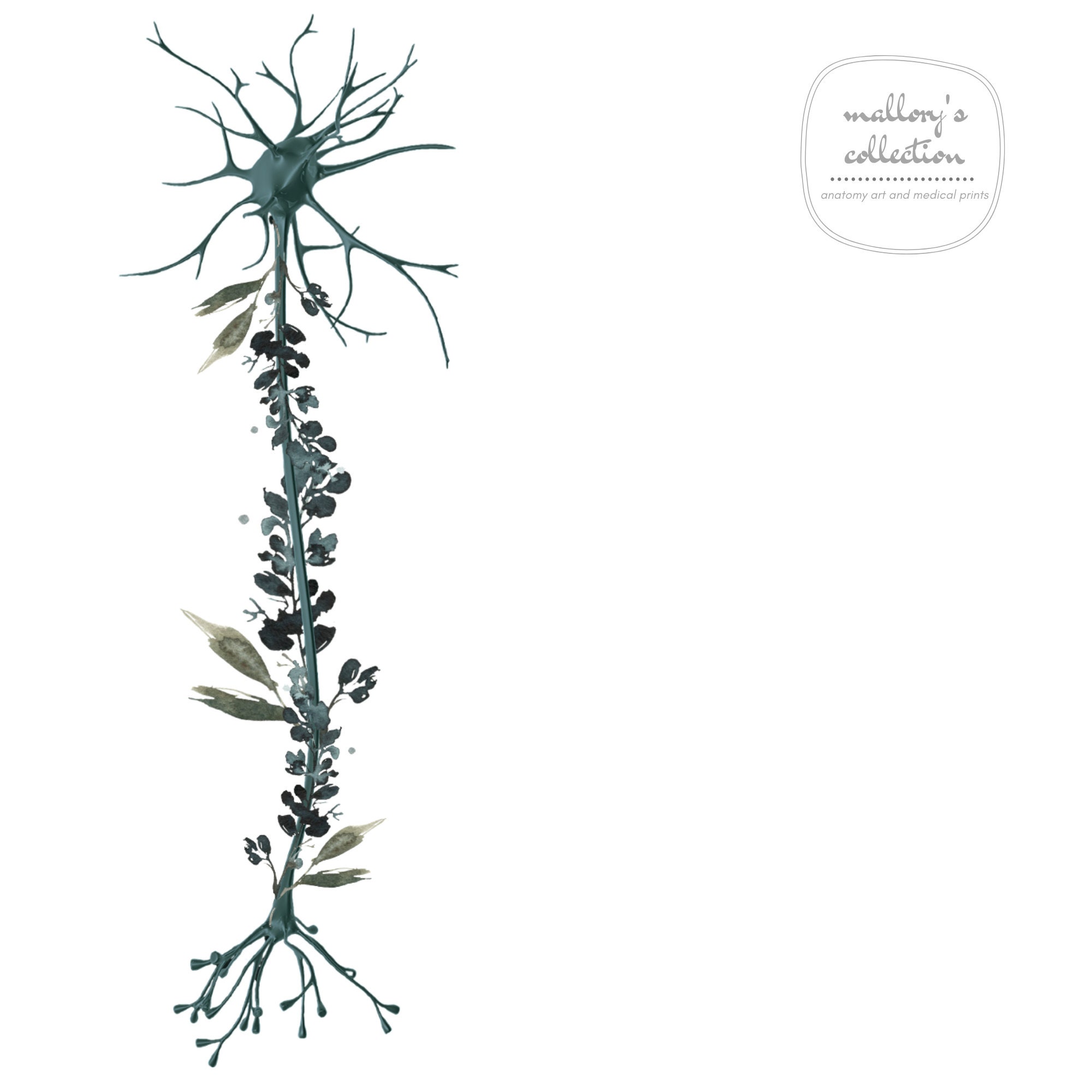 Neuron Anatomy Wall Art / Neuron Artwork / Med School - Etsy