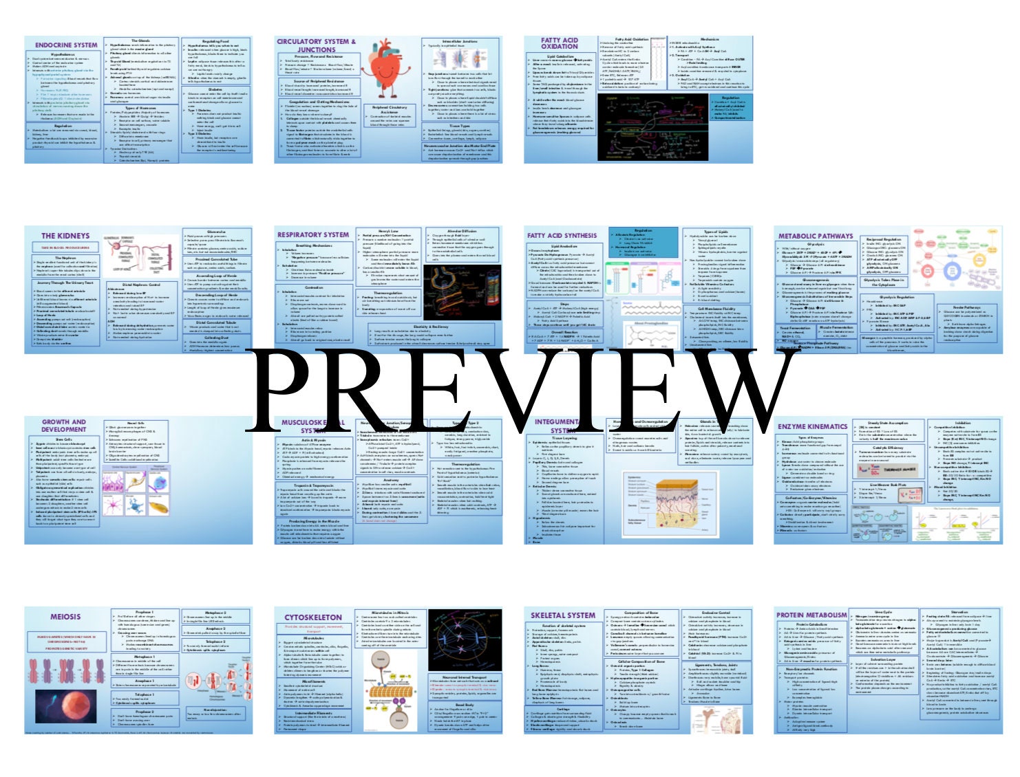 Bio, Biochem Mcat Study Guide / Study Guide / MCAT / Metabolic Pathways ...