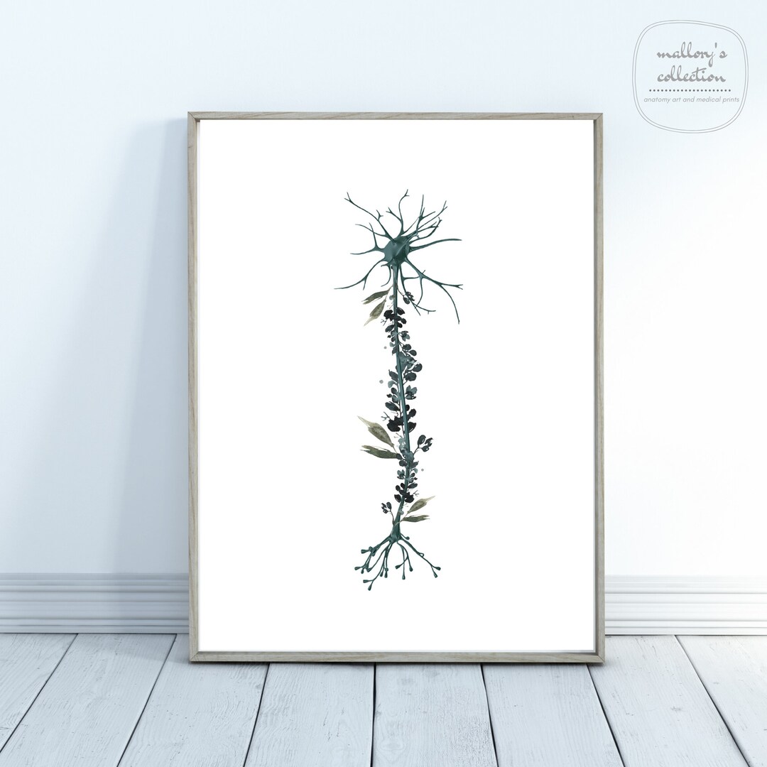 Neuron Anatomy Wall Art / Neuron Artwork / Med School Graduation Gift ...