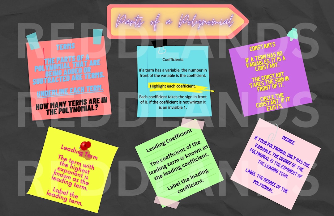 Polynomial Parts Poster | Algebra Classroom Decor (digital Download) - Etsy