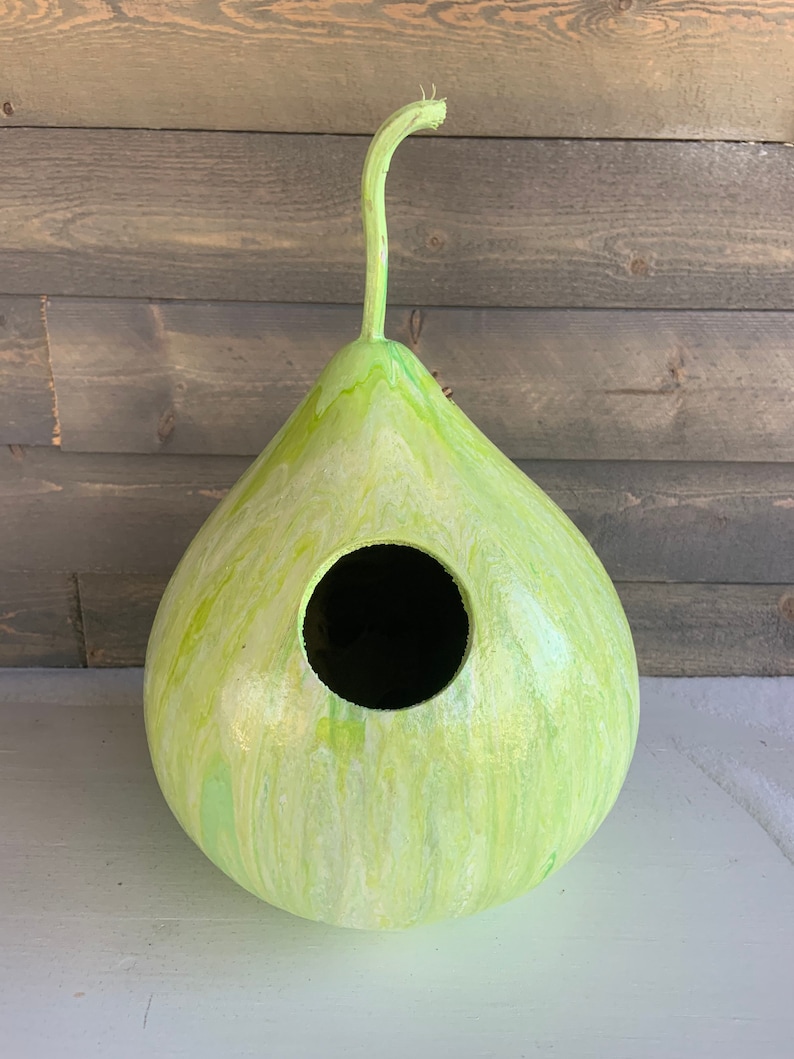 Pour Painted Purple Martin Gourd Birdhouse | Etsy