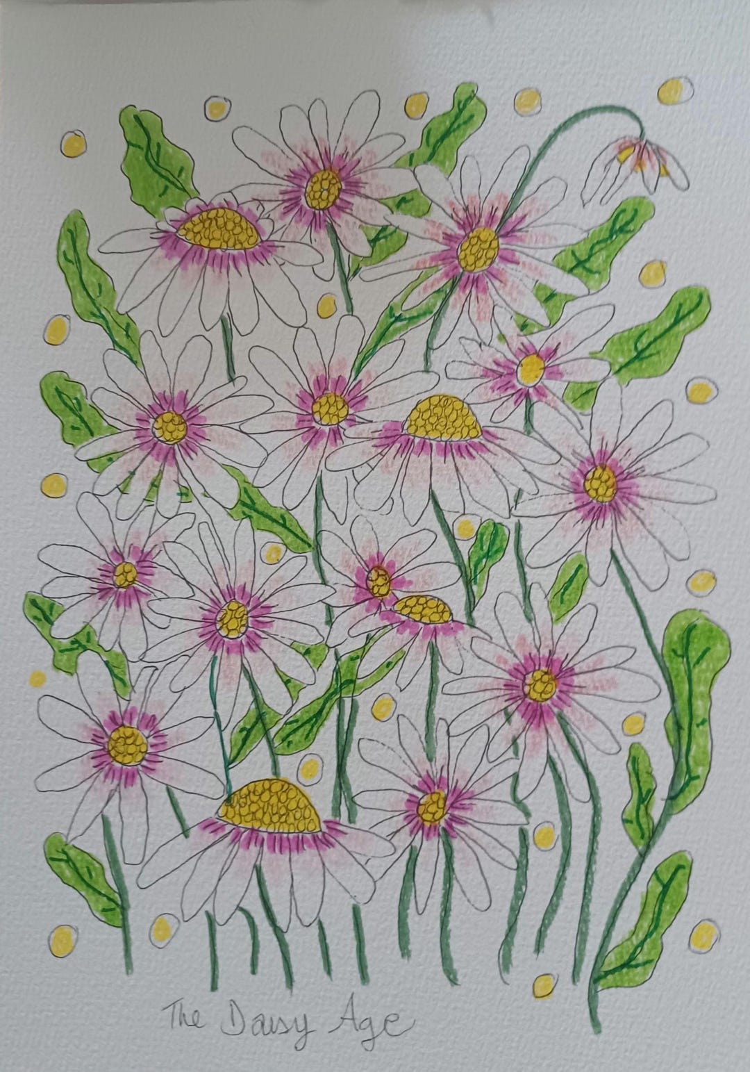 The Daisy Age Original A4 Pen Drawing on Heavy Archive Paper ...