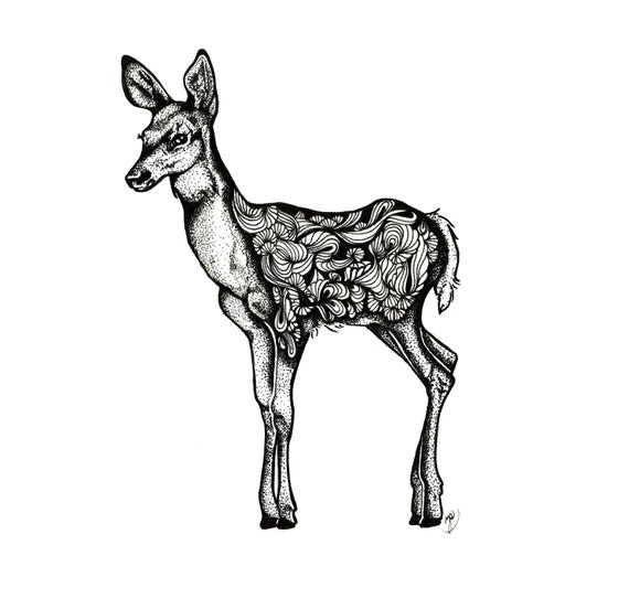How To Draw A Doe Deer