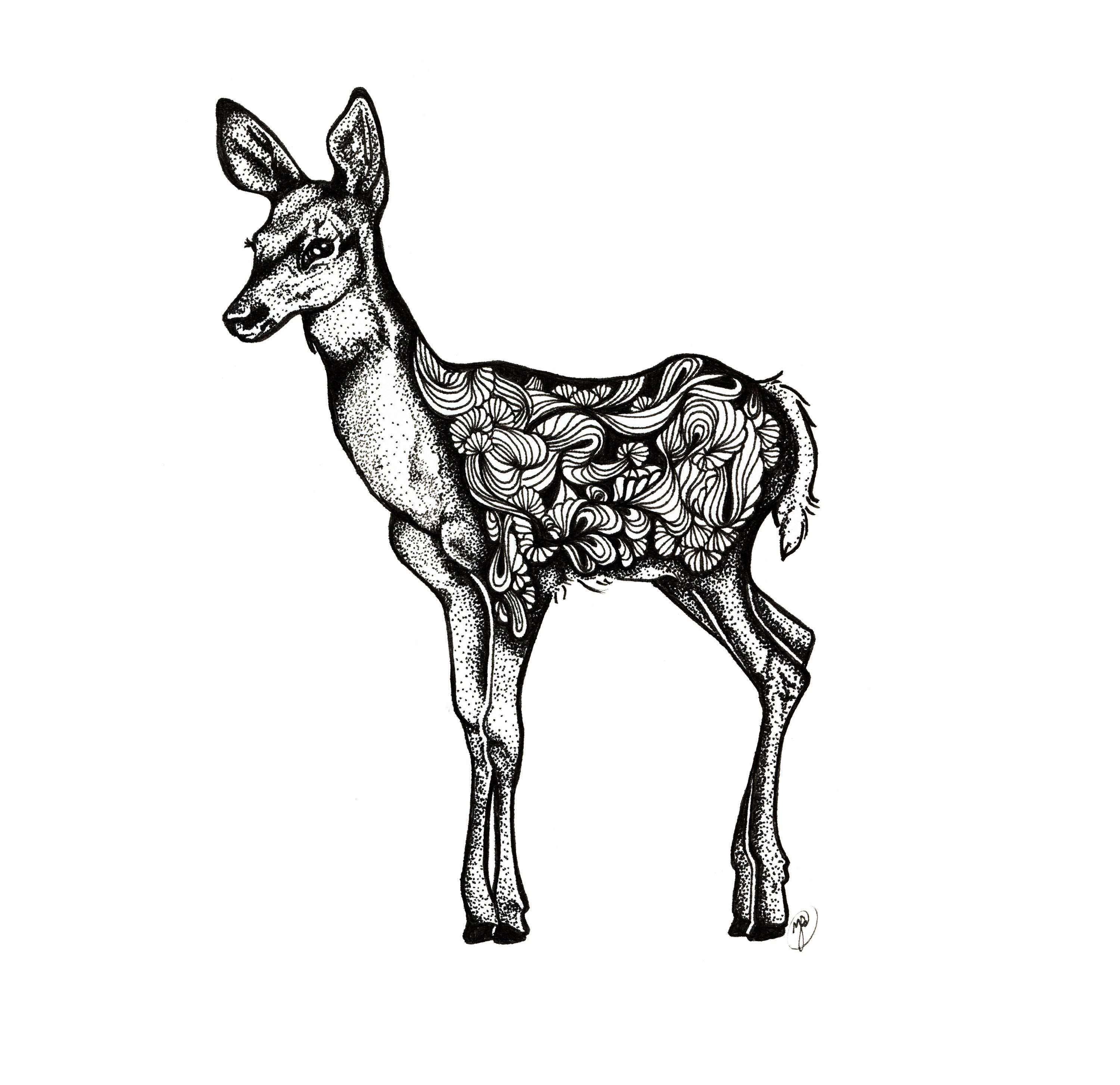 Deer Doe Drawing