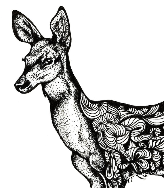 Doe Deer Drawing Tumblr