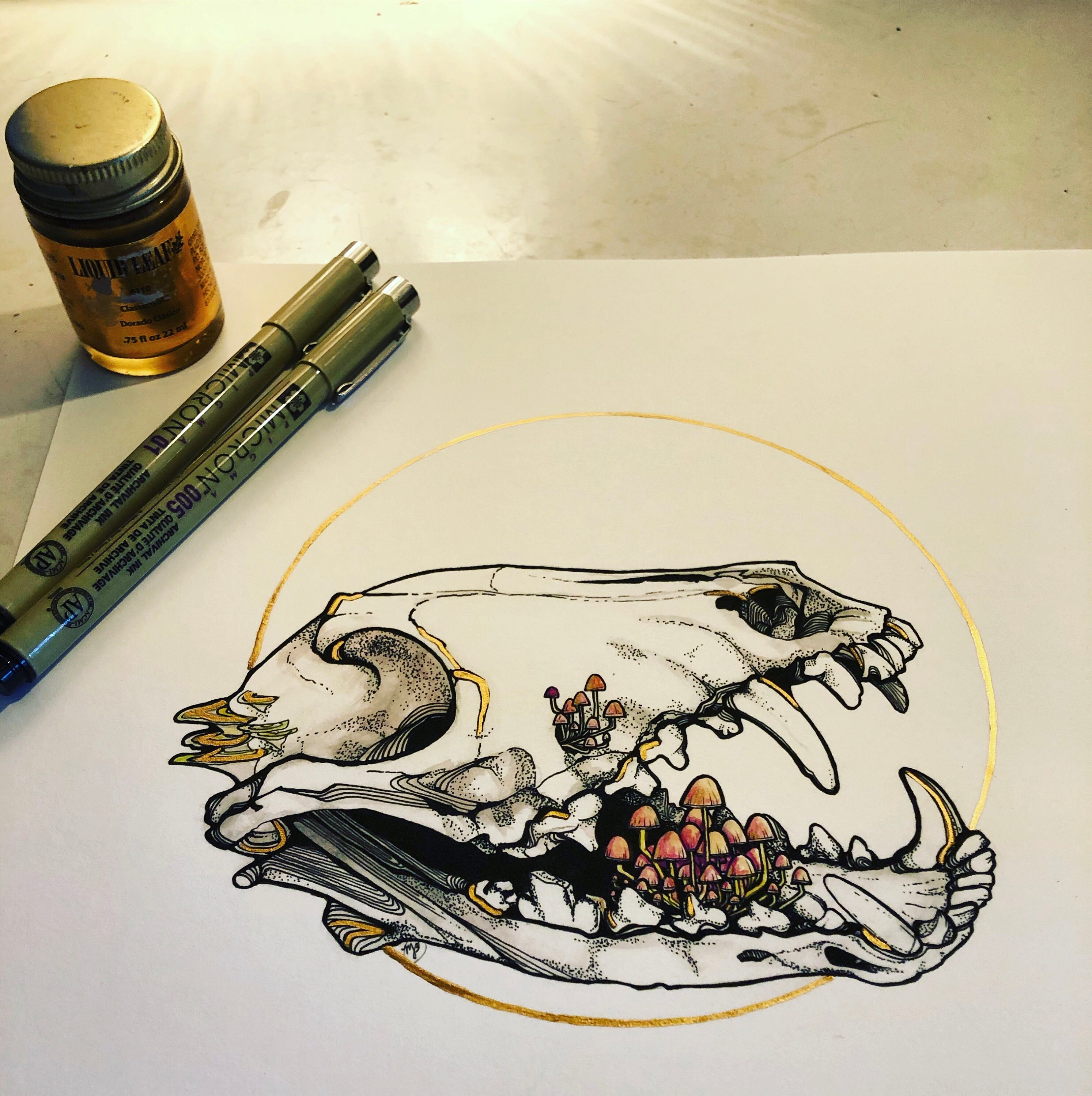 Red Fox Skull - Etsy