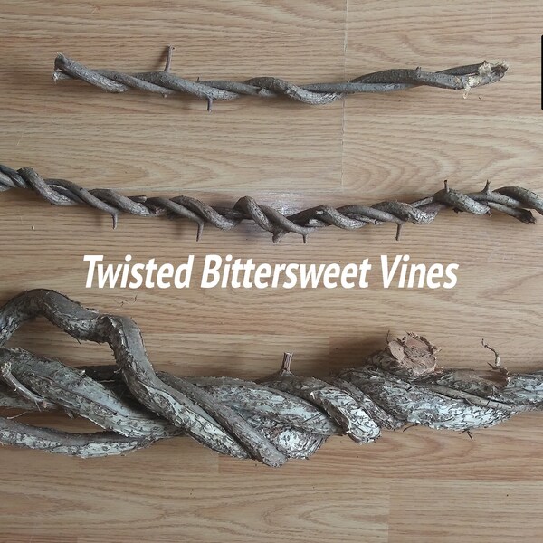 Twisted Branch - Etsy