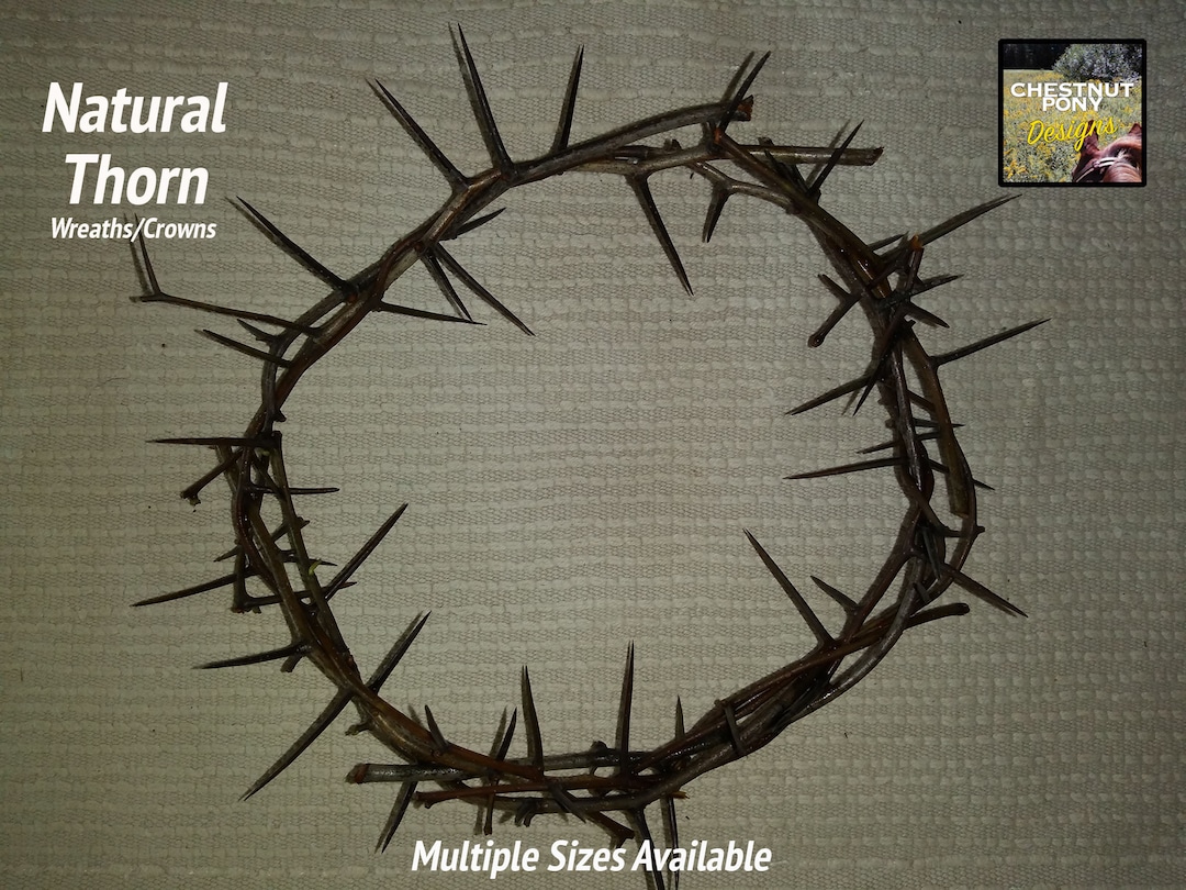 Thorn Wreath or Crown, Real Washington Hawthorn Branches, Very Sharp ...