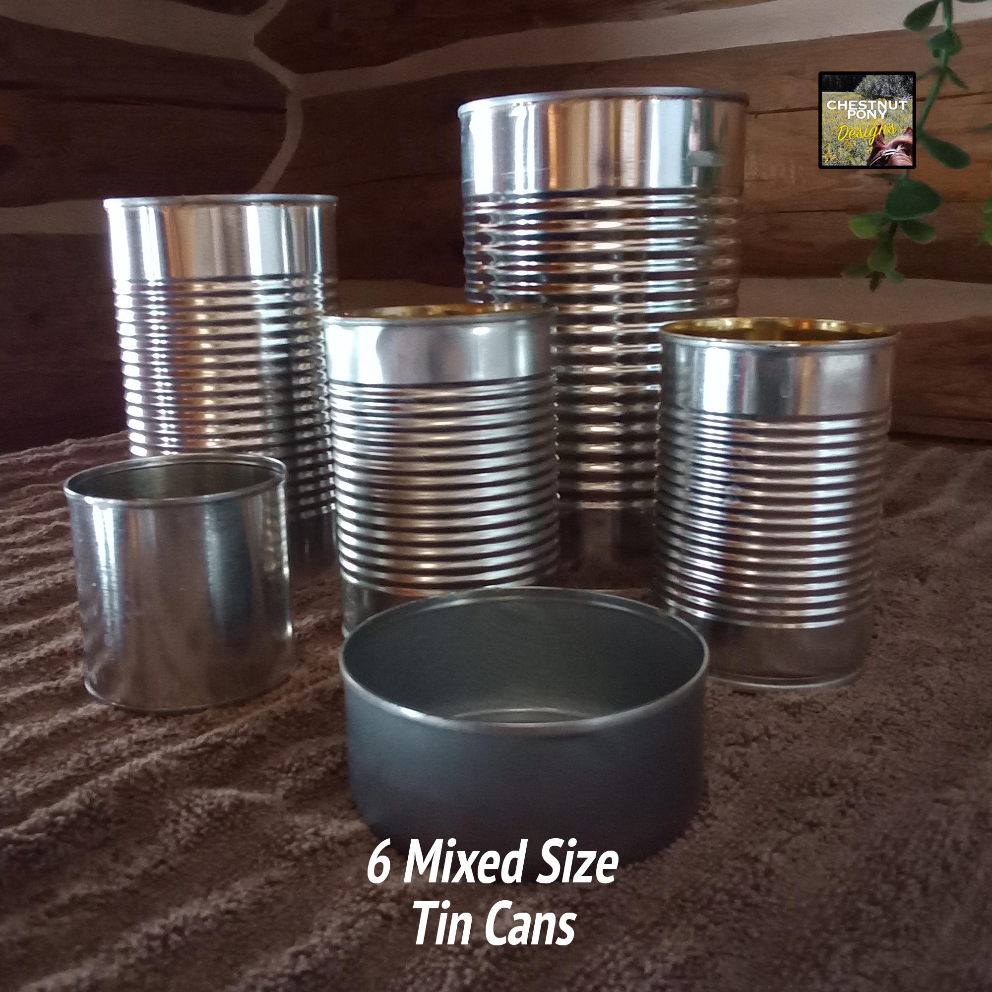 Tin Cans for Crafting - 6 Cans Great for Kids Projects, Candles ...