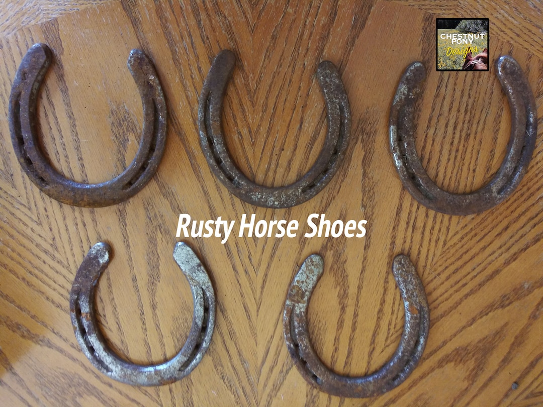 Rusty Horse Shoe, 5 Inch, Great for Good Luck, Crafts, Rustic Primitive ...