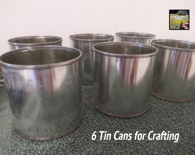 Tin Cans for Crafting - 6 Same Size Cans. Great for Small Crafts ...