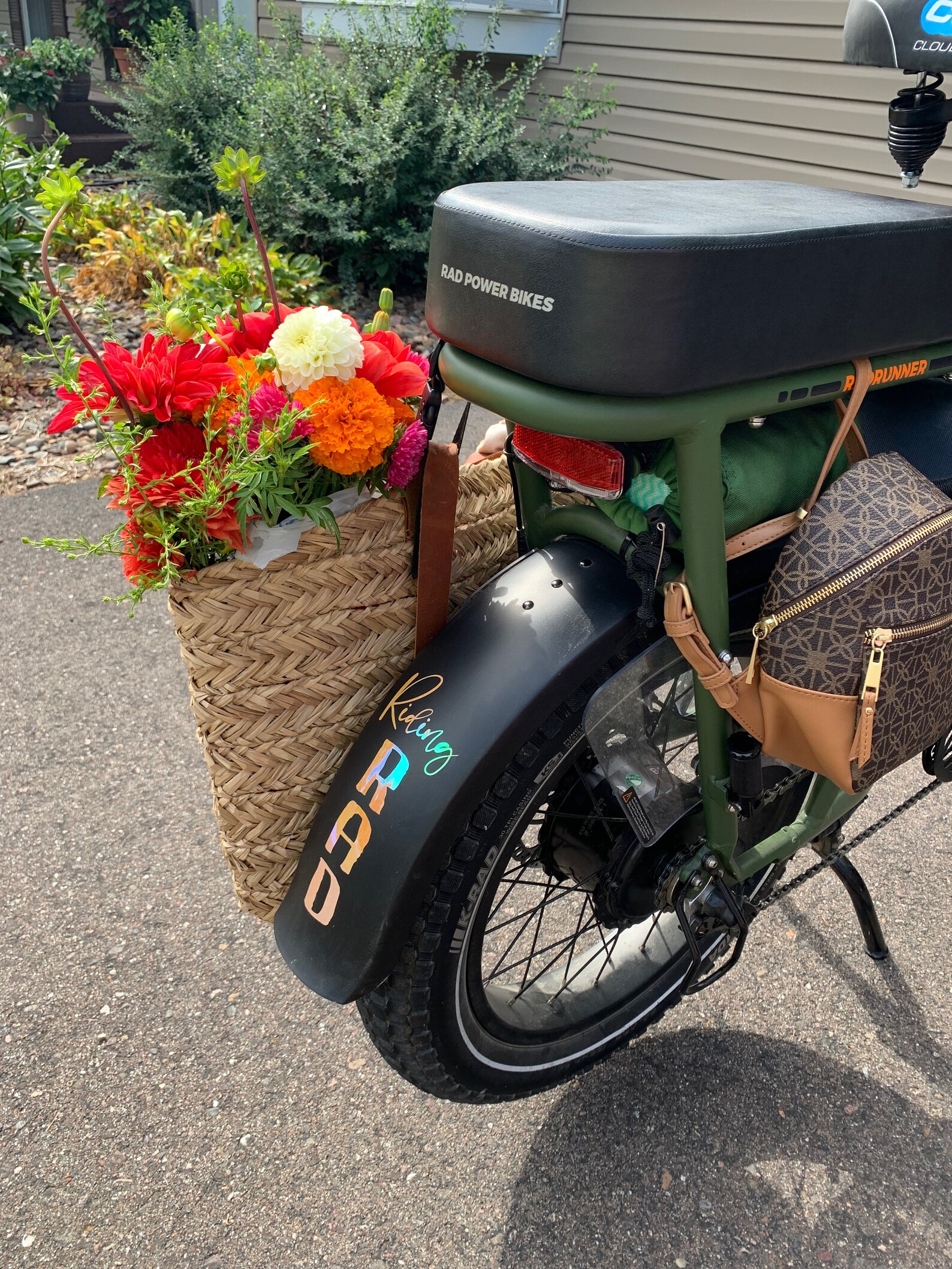 Rad Runner Ebike Decal Riding Rad Custom Decal Custom - Etsy