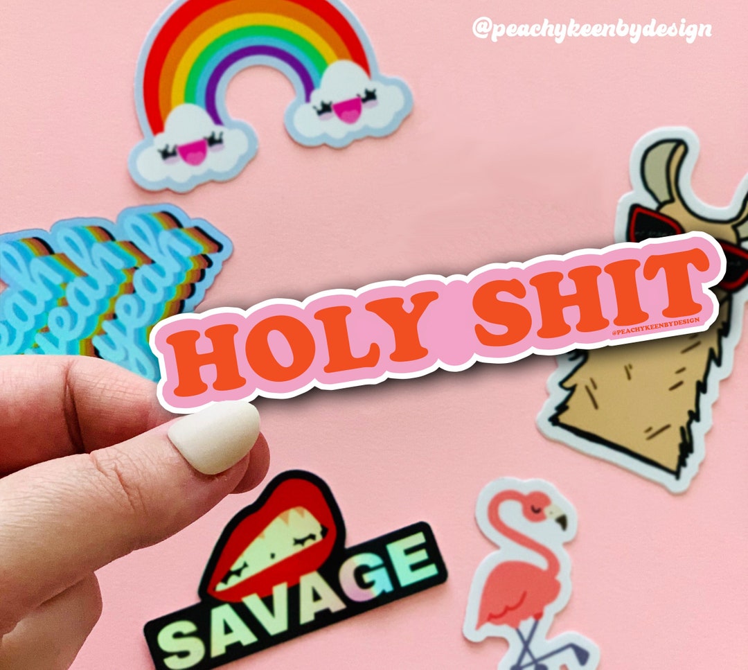 STICKER Holy Shit | Skateboard Sticker, Car Sticker, Laptop Vinyl ...