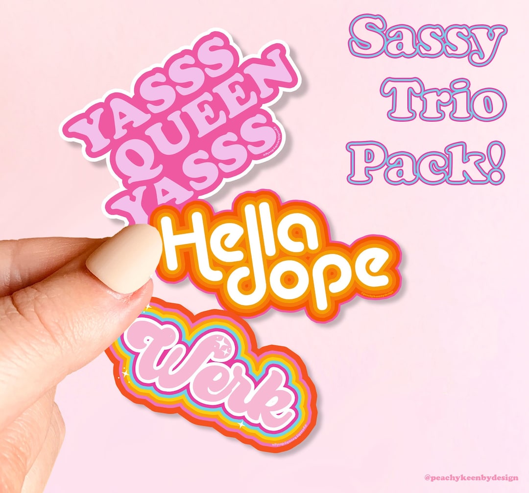STICKER PACK Sassy Trio | Die-cut Window, Skateboard, Car, Laptop Vinyl ...
