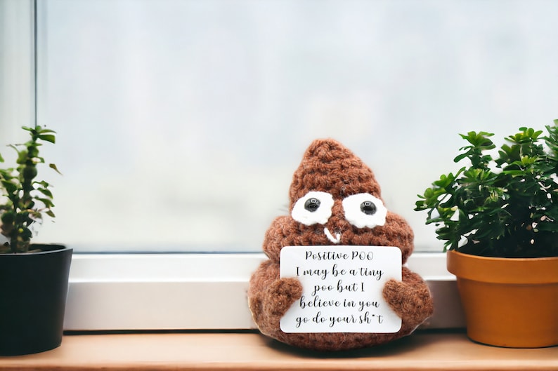 Positive Poo, Poop Crochet. Colonoscopy Gifts. Funny Gag Gift. Handmade ...