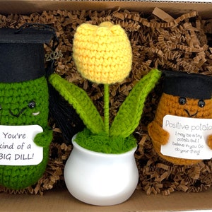 Graduation Gift Positive Potato, Emotional Support Pickle, High School ...