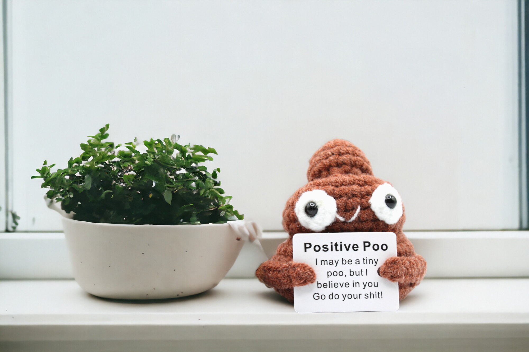 Positive Poo, Poop Crochet. Colonoscopy Gifts. Funny Gag Gift. Handmade ...