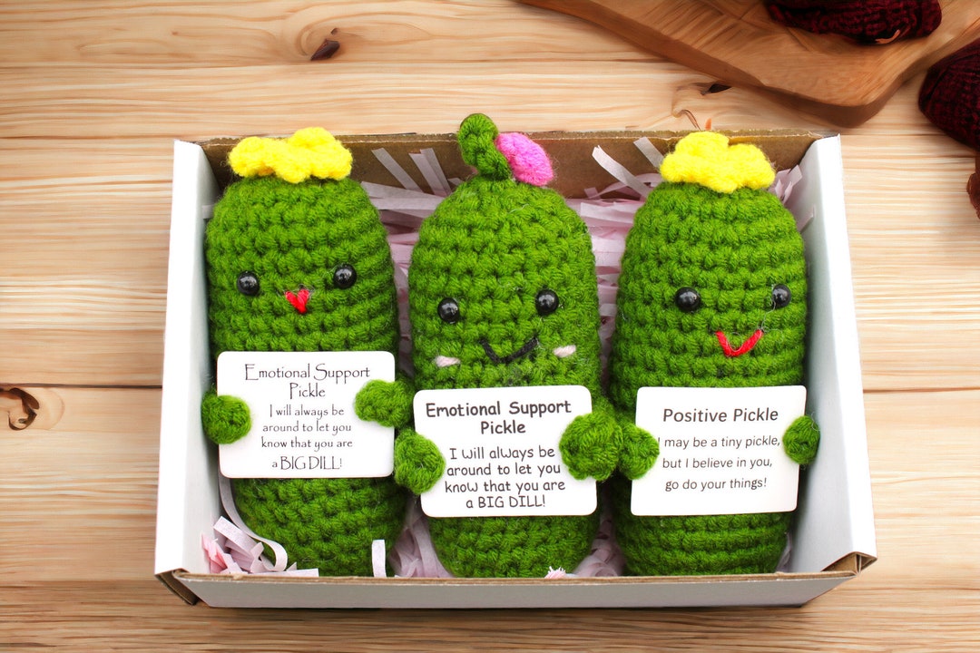 Emotional Support Crochet Pickle. Encouraging Thinking of You Gift ...