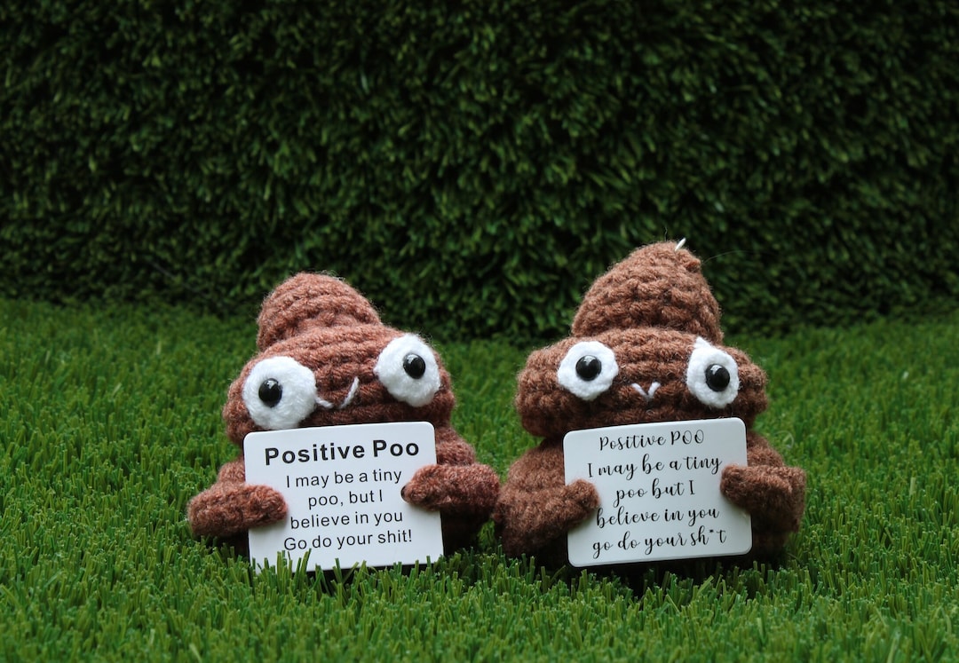 Positive Poo, Poop Crochet. Colonoscopy Gifts. Funny Gag Gift. Handmade ...