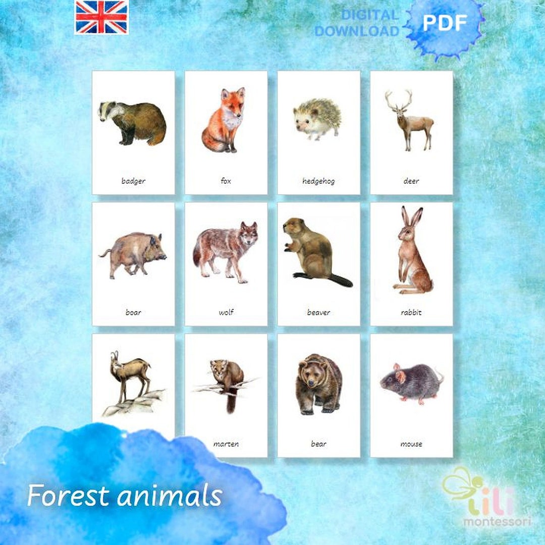 ANIMALES DEL BOSQUE Tarjetas Montessori de tres partes ⁕ 24 Tarjetas ...