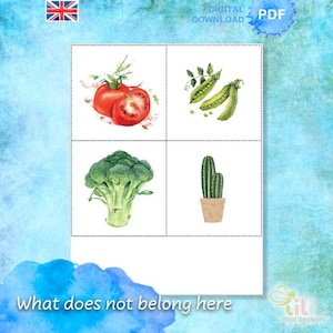 What Doesn't Belong Here? - Simple Classification ⁕culture ⁕cosmic ...