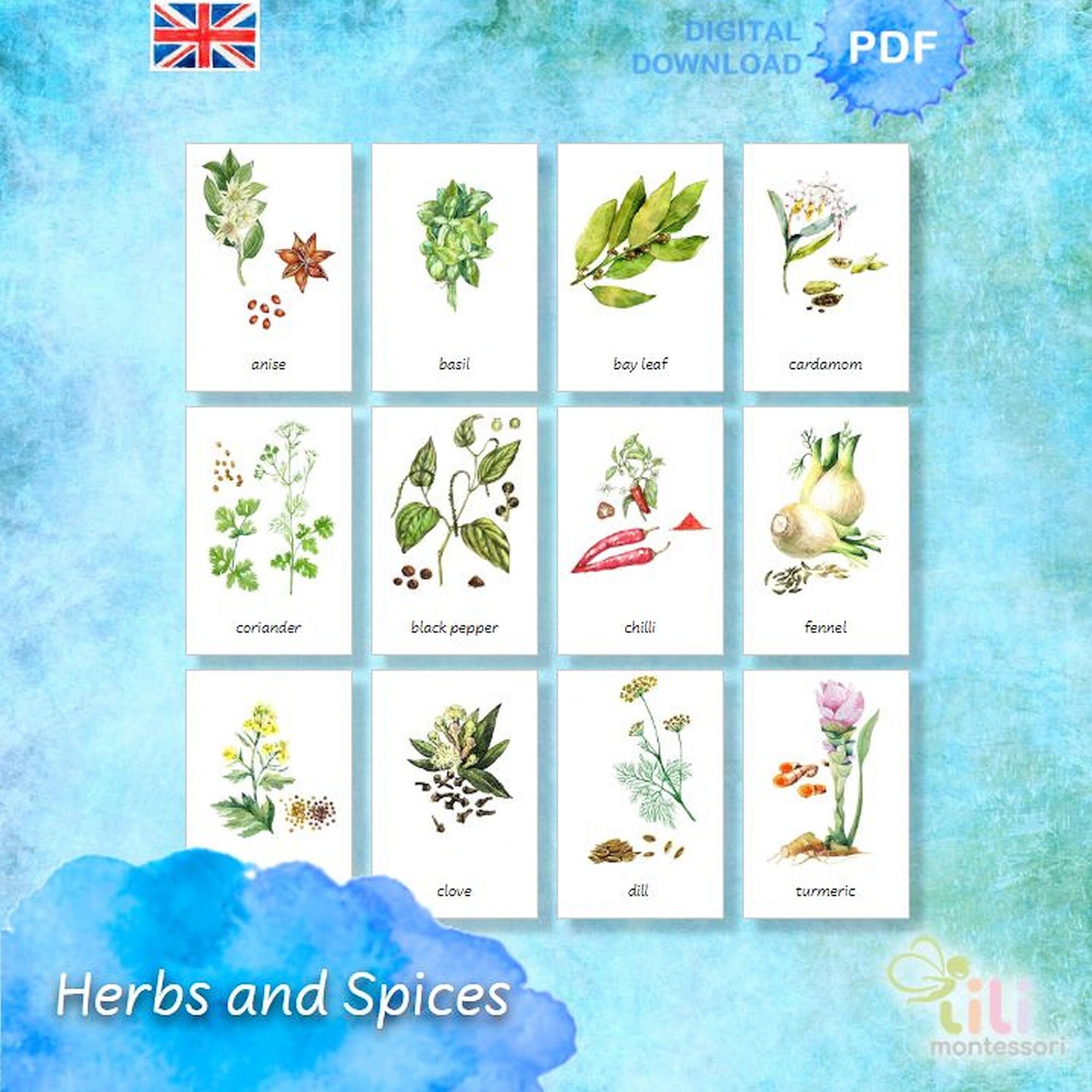 HERBS AND SPICES Montessori 3 Part Cards ⁕ 28 Editable Cards ...