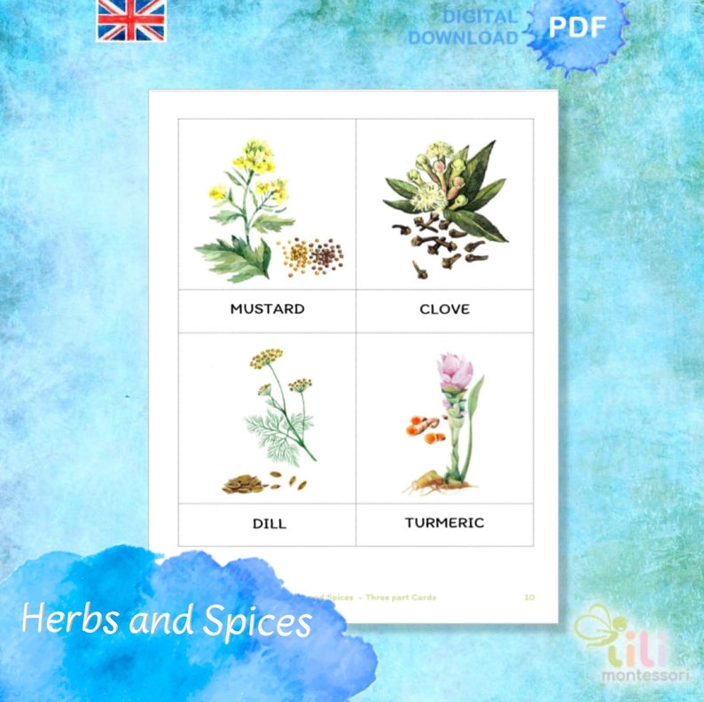 HERBS AND SPICES Montessori 3 Part Cards 28 Editable Cards Multilingual ...