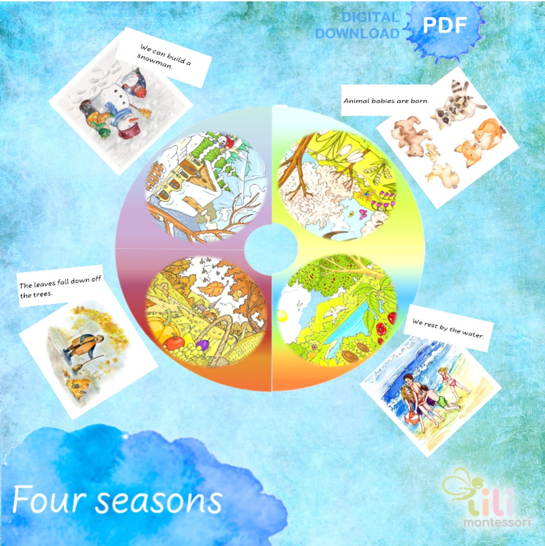FOUR SEASONS Bundle⁕simple Classification⁕montessori Printable Cards ...