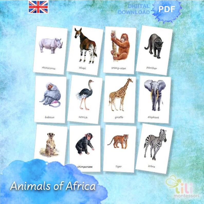 ANIMALS OF AFRICA Three Part Cards Montessori ⁕ Flash Cards ...