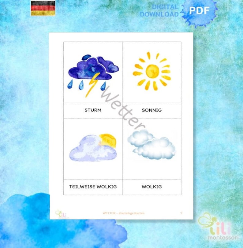 WEATHER SYMBOLS Montessori 3 Part Cards 24 Editable Cards - Etsy