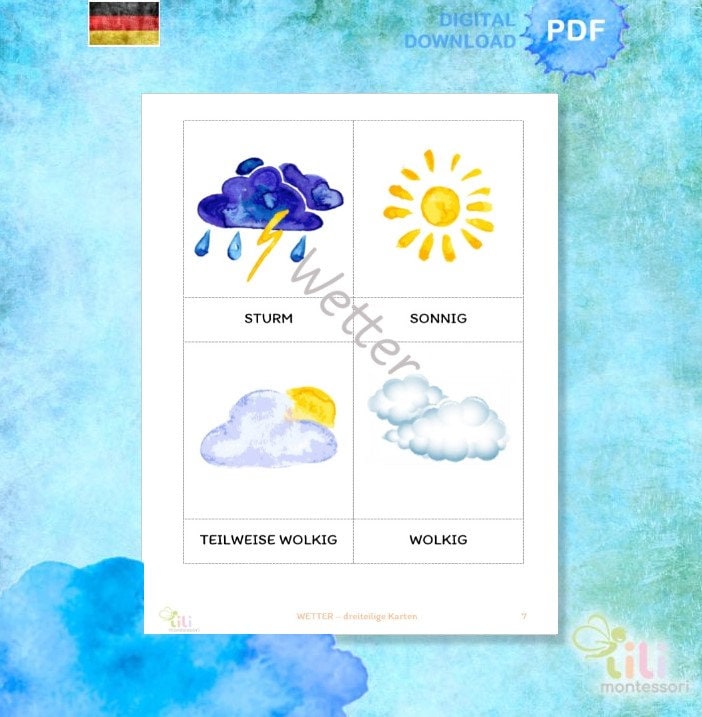WEATHER SYMBOLS Montessori 3 Part Cards 24 Editable Cards - Etsy